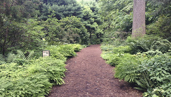 Arboretum Paths: Nature’s beauty – inspiration for your garden ...