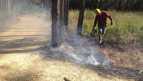 Arboretum Paths: A great day for a burn | Picayune Item