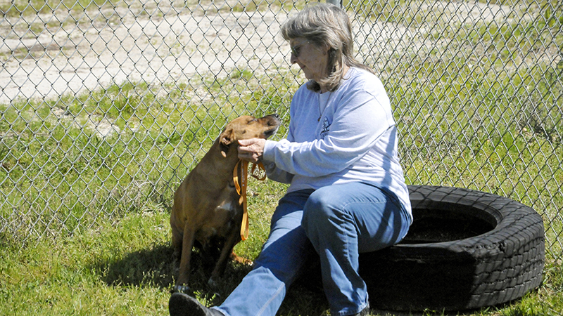 Women’s History Month: Judy Wheaton helps the community with her ...