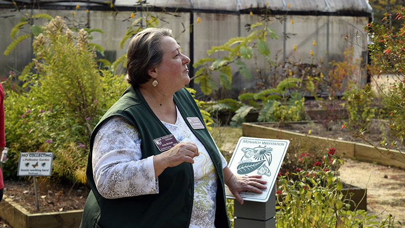 Crosby Arboretum's garden becomes way station for monarch butterflies ...
