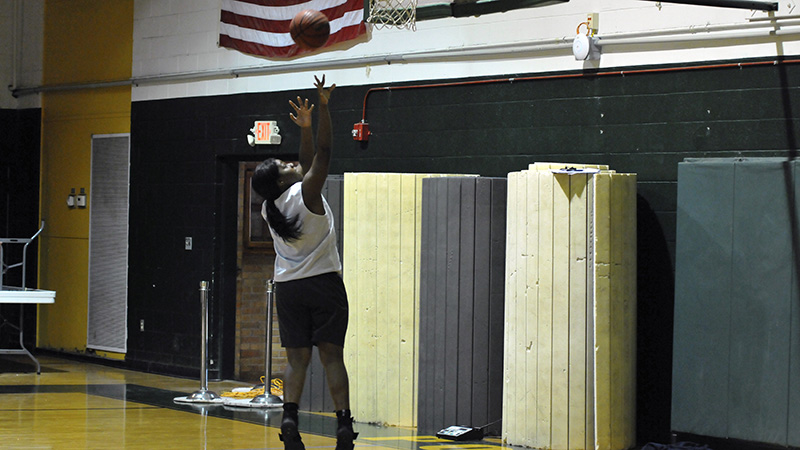 The Lady Hornets basketball team hopes to reach the state playoffs at ...