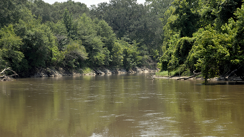 One Lake Project gets approval from Jackson City Council | Picayune Item