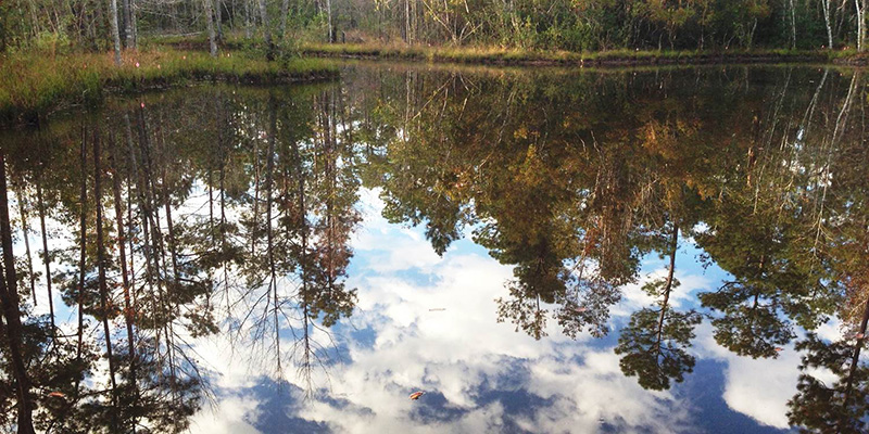 MDEQ Lifts Contact Advisory for Portion of Pearl River | Picayune Item