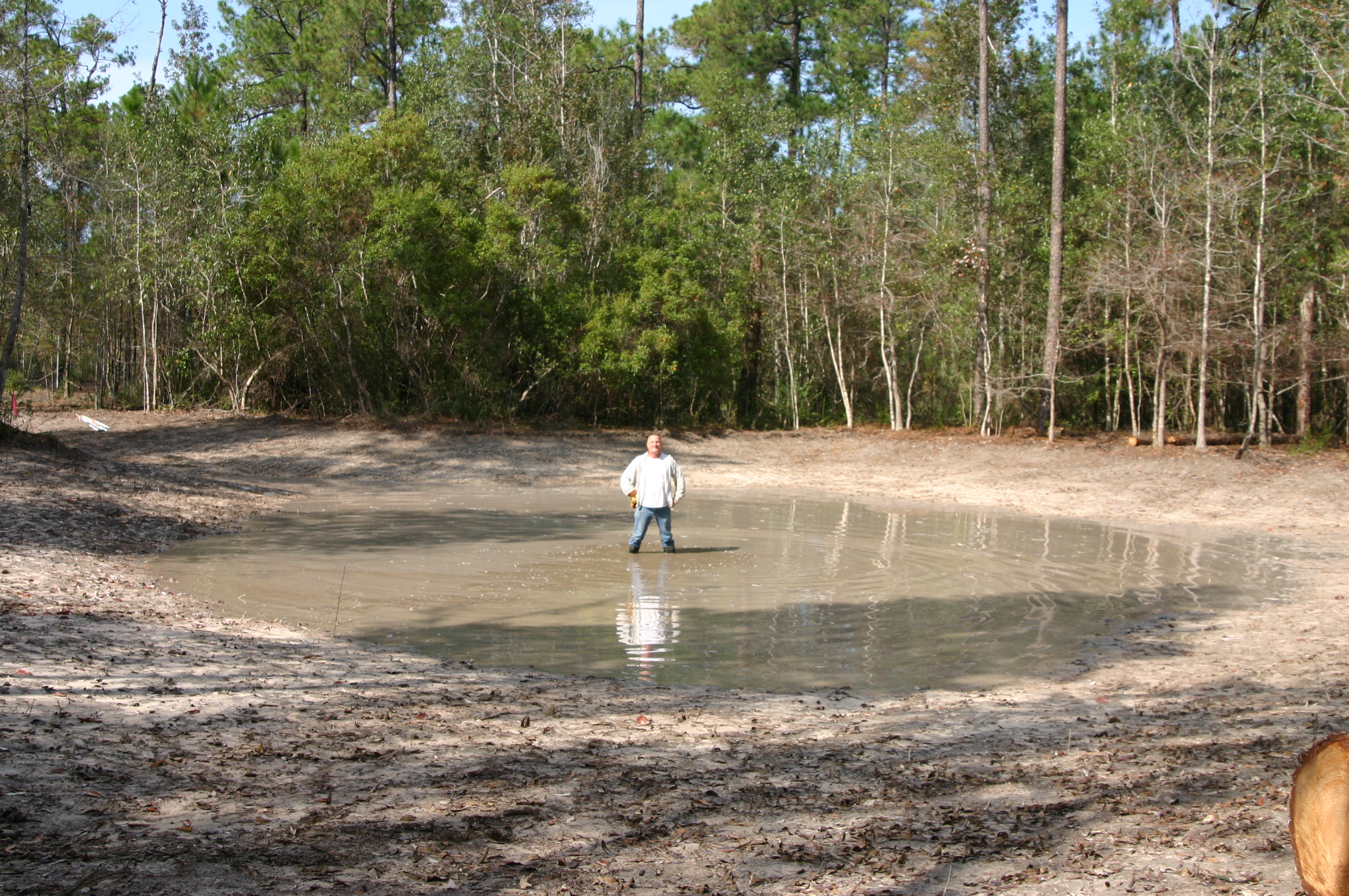 Celebrating memories at the Crosby Arboretum | Picayune Item