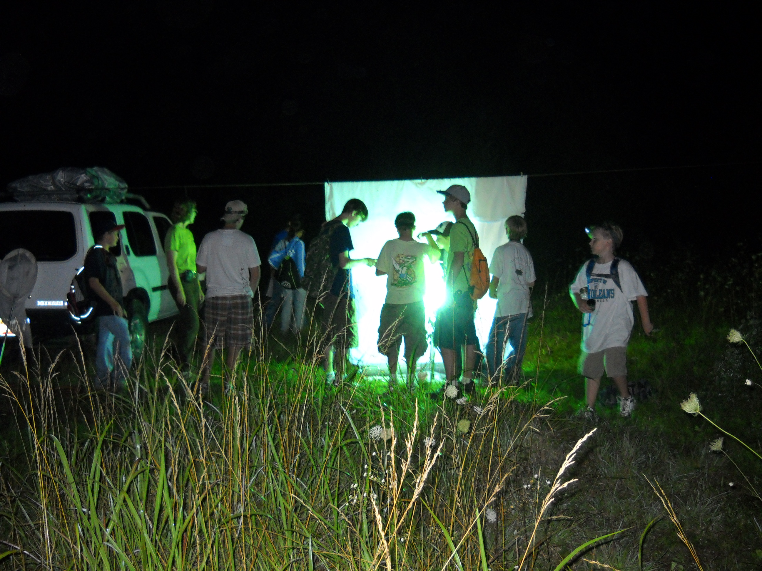 Get ready for Bugfest at the Crosby Arboretum! | Picayune Item