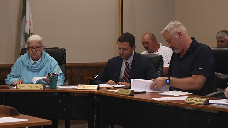 Aldermen hold special call meeting to approve budget | Picayune Item