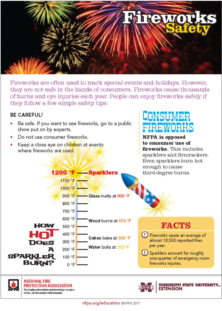 Sparkle the 2023 New Year safety with these friendly reminders ...