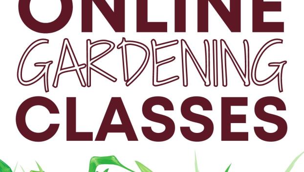The voice of Pearl River County since 1904 | Picayune Item