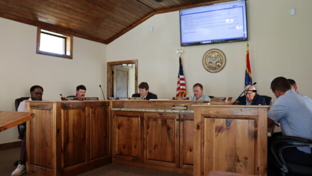 News | Picayune Item